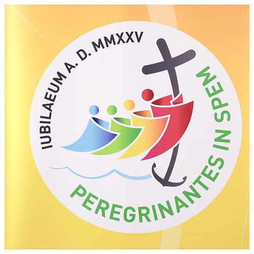 Jubilee banner roll up 100x200 cm with official logo orange background ...