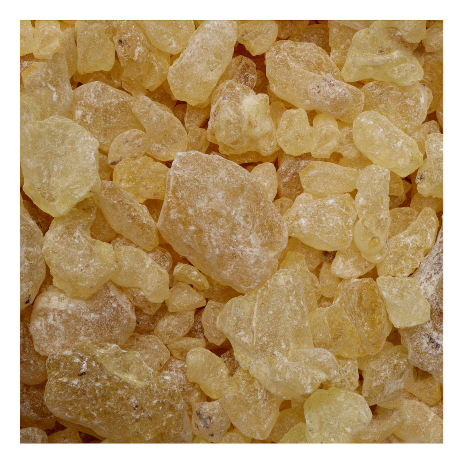 Weihrauch Damar 1kg | Online Verfauf auf HOLYART