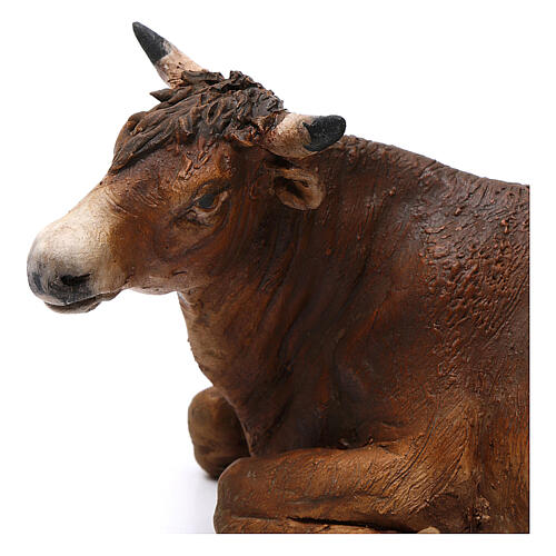 Nativity Ox lying down 18 cm Angela Tripi | online sales on HOLYART.com
