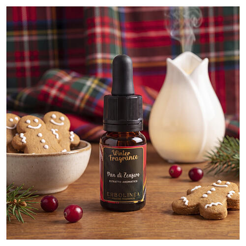 Winter Fragrance aromatic oil with dropper, "Gingerbread" by Erbolinea ...
