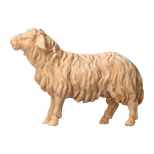 Sheep looking forward Mountain Pine natural wood 12 cm nativity ...