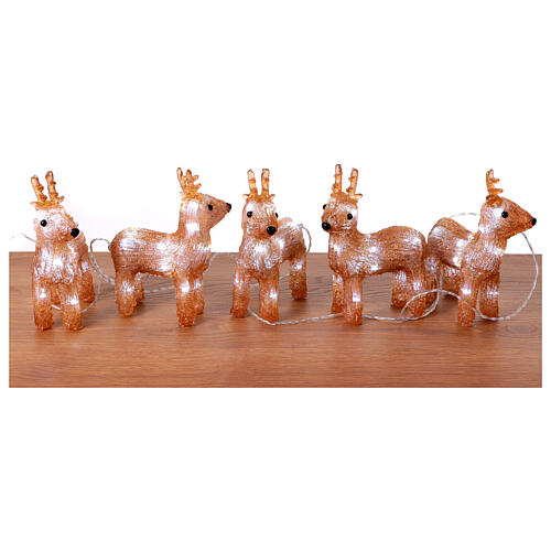 Set of 5 acrylic reindeer 5x15x20 cm colored 70 internal external LEDs ...